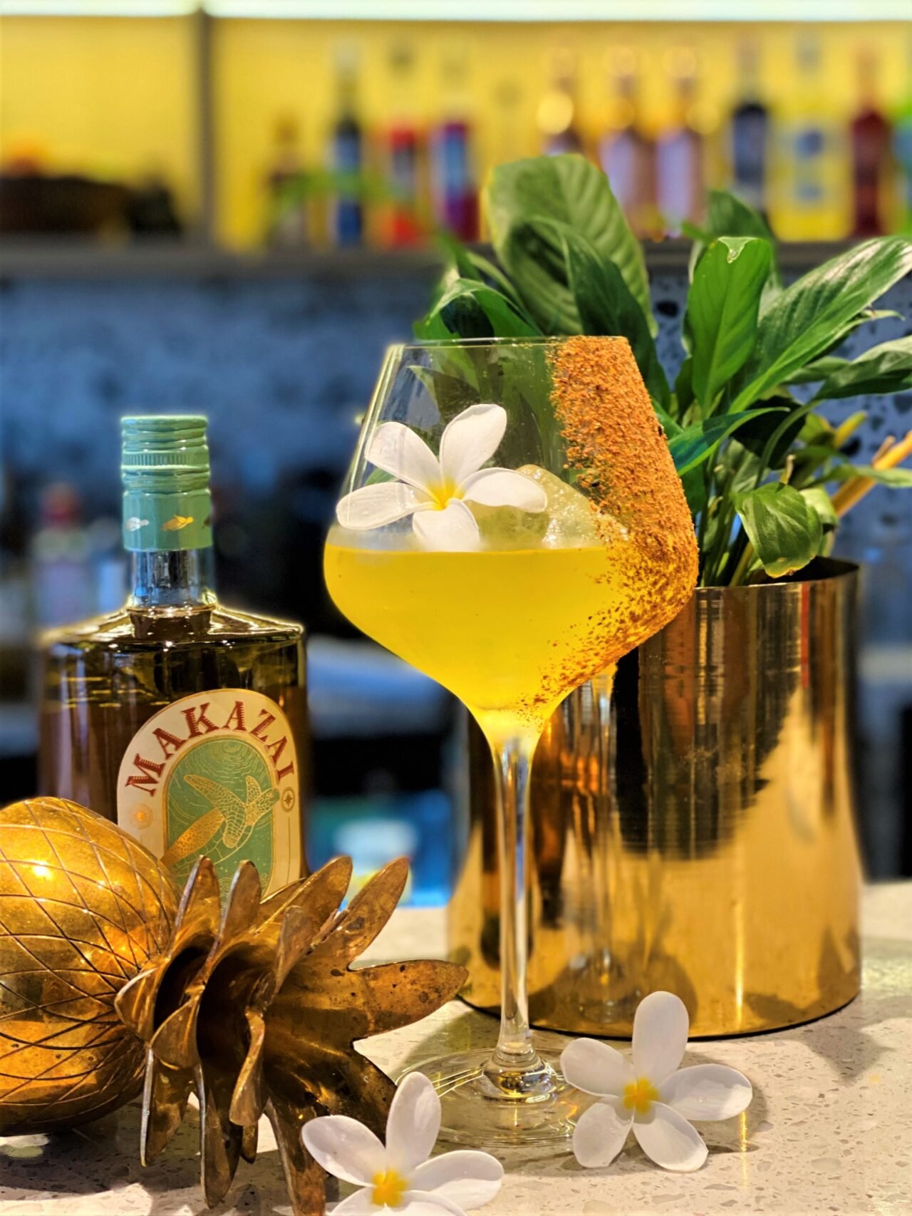 Eight Best Rum Cocktail Places in Goa | FridayWall