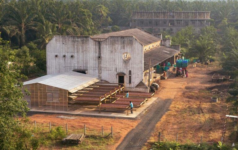 Manam Chocolate - India's Indigenous Craft Chocolate | FridayWall